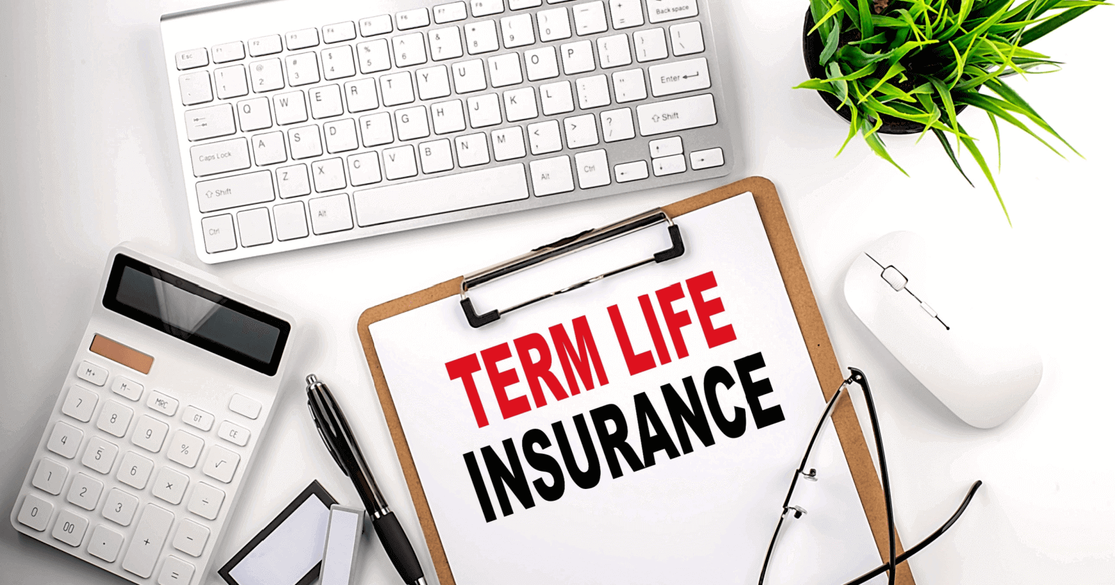 Age Limit for Term Insurance: Impact, Factors & Differences