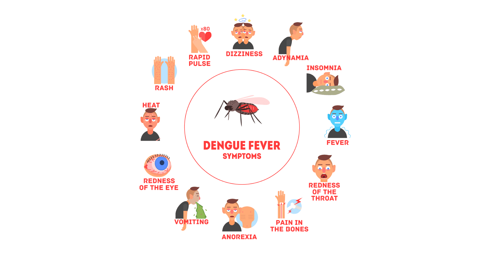 Dengue Fever: Symptoms, Causes, Prevention and Treatments