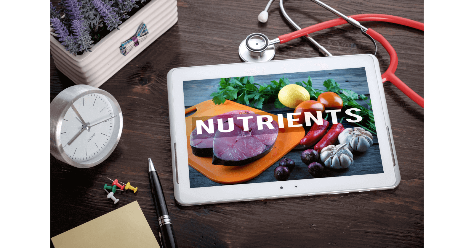 Different Types of Nutrition for the Human Body Explained