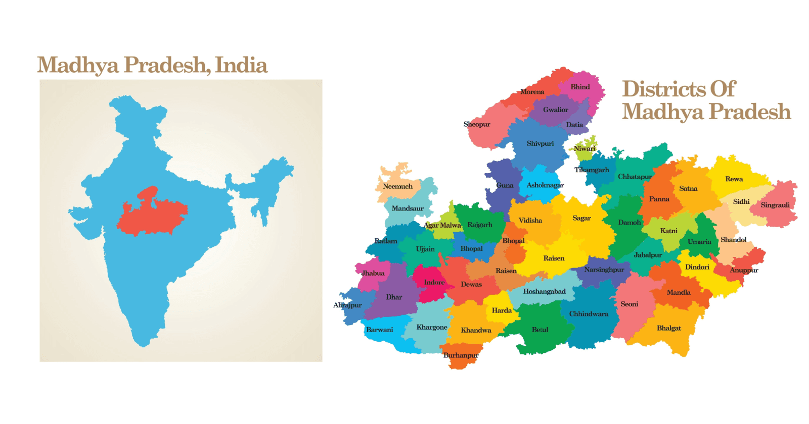 MP RTO Madhya Pradesh RTO Code List MP RTO Registration MP RTO Madhya Pradesh RTO Code List MP RTO Registration