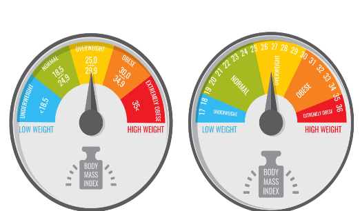 BMI Weight Loss Calculator: Achieve Your Ideal Body Weight