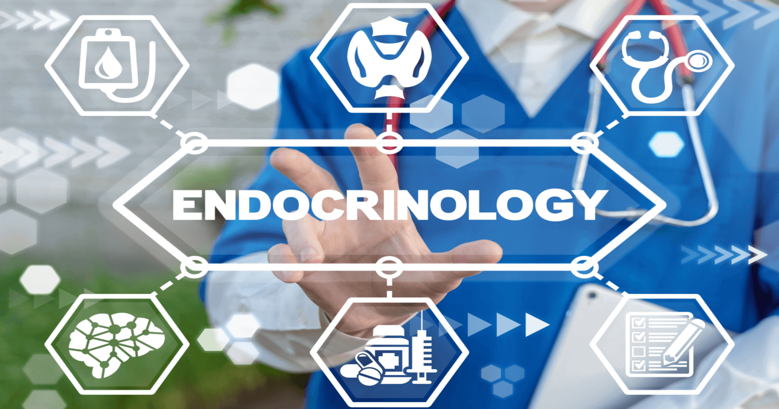 What is Endocrinology? Hormones, Disorders & Treatment